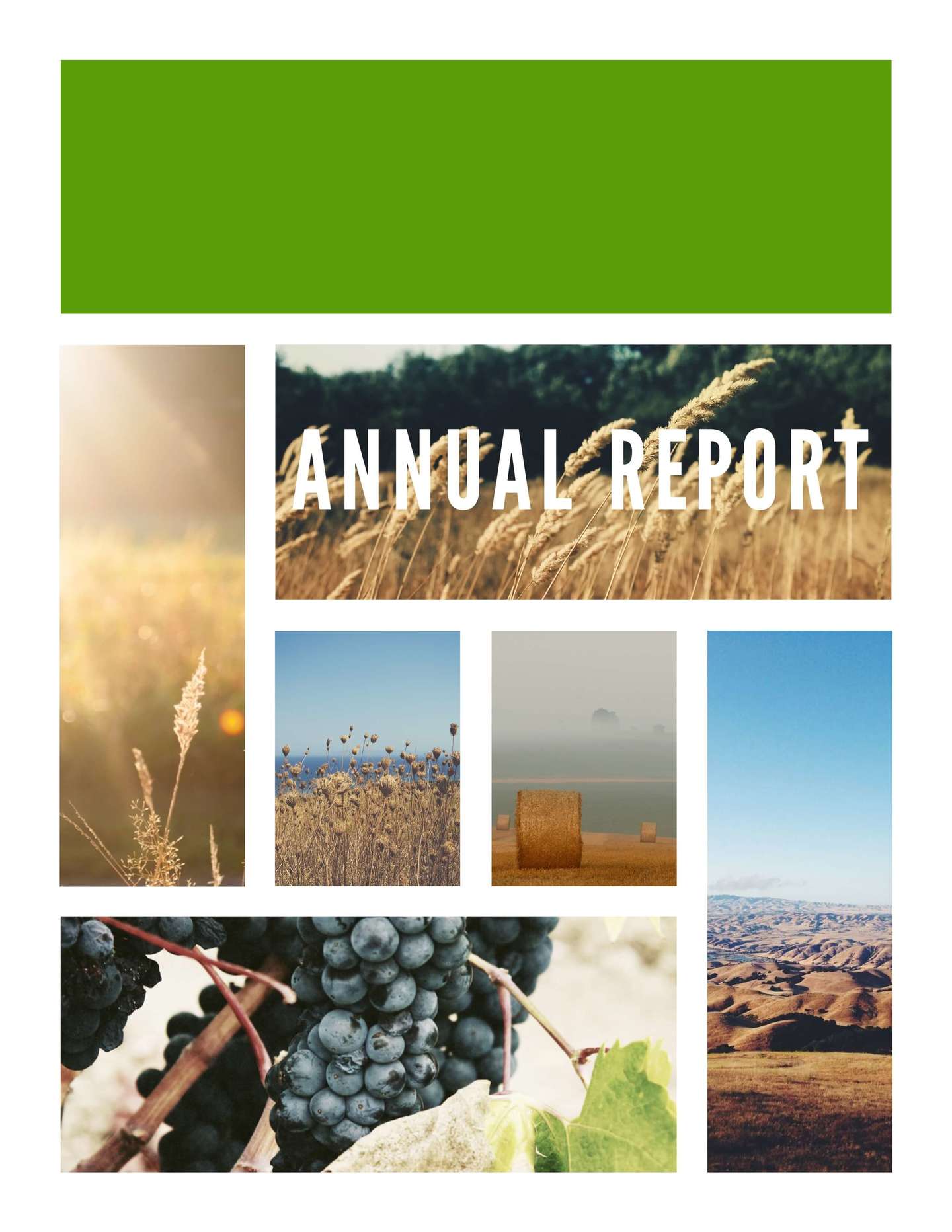 800 Free Annual Report Templates Examples 6 Free Templates 